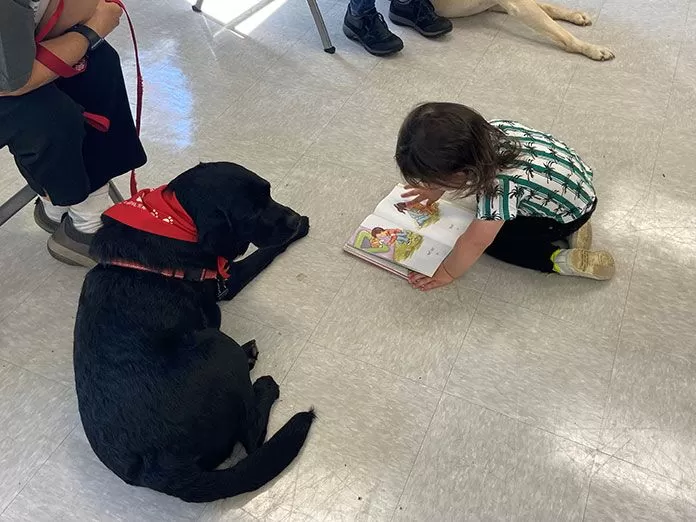 Program Helps Kids’ Reading Skills Alongside A Furry Companion ...